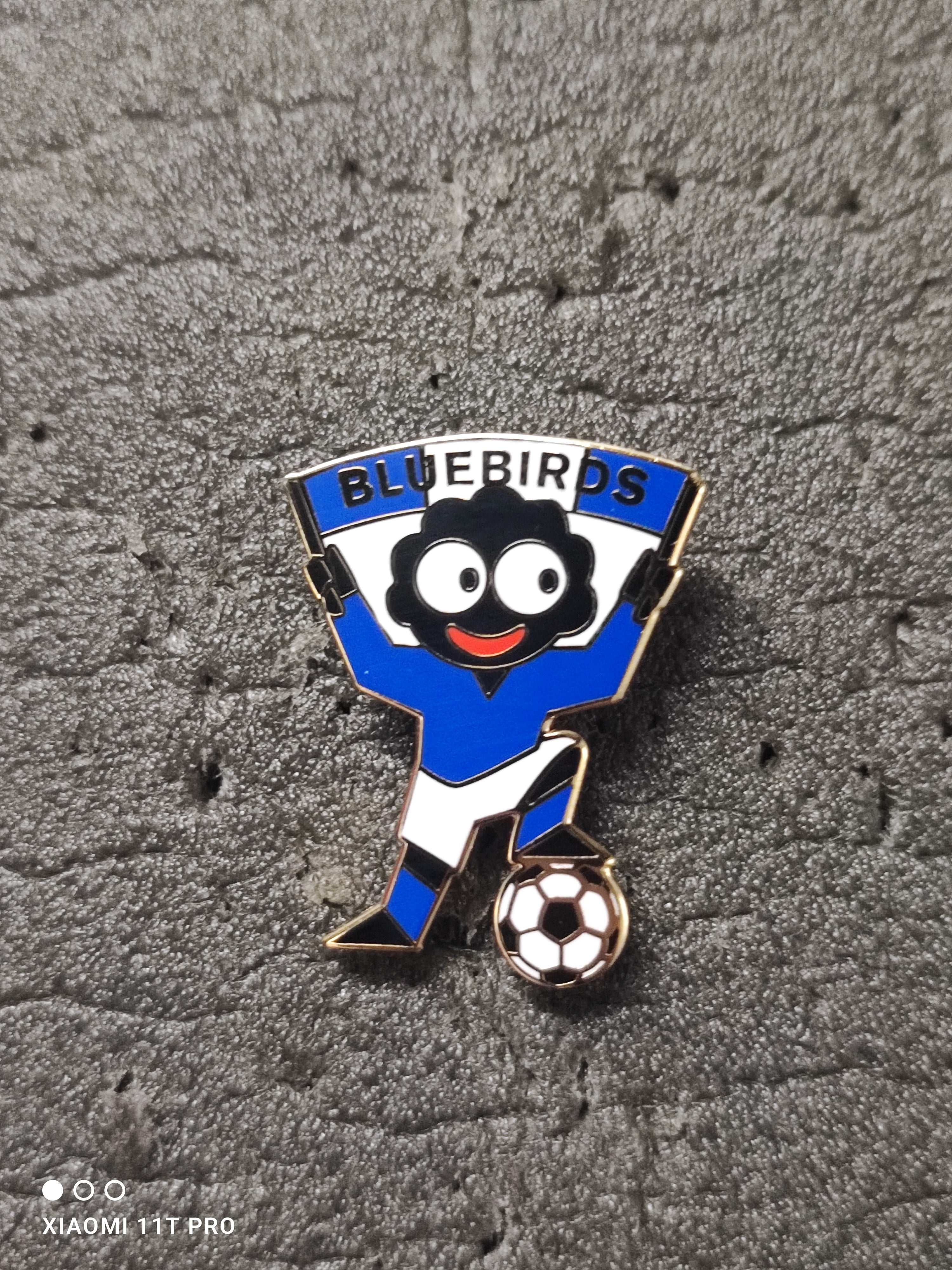 Bluebirds – GollyBadges.com