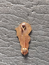 Robertson's 1970s Badges – GollyBadges.com