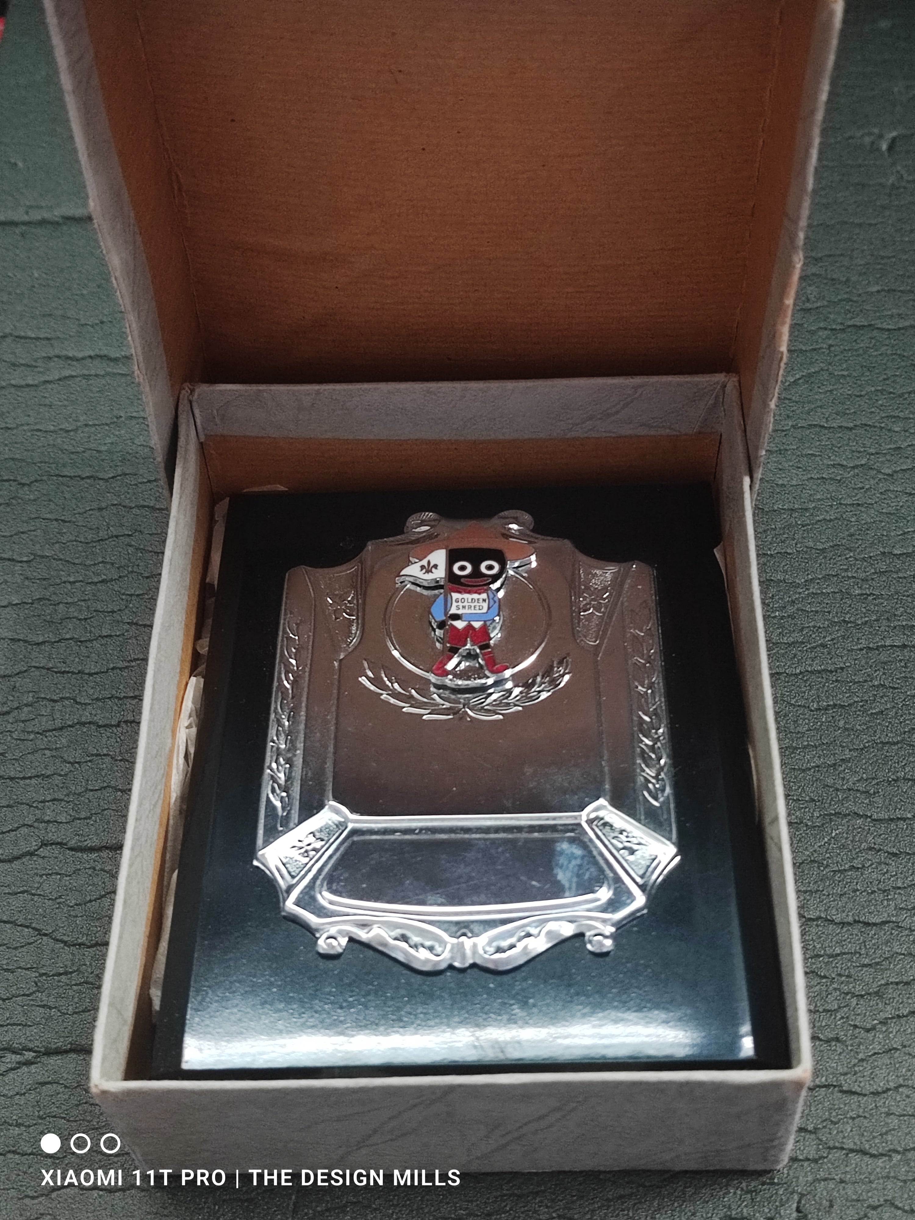Robertsons Scout Trophy – GollyBadges.com