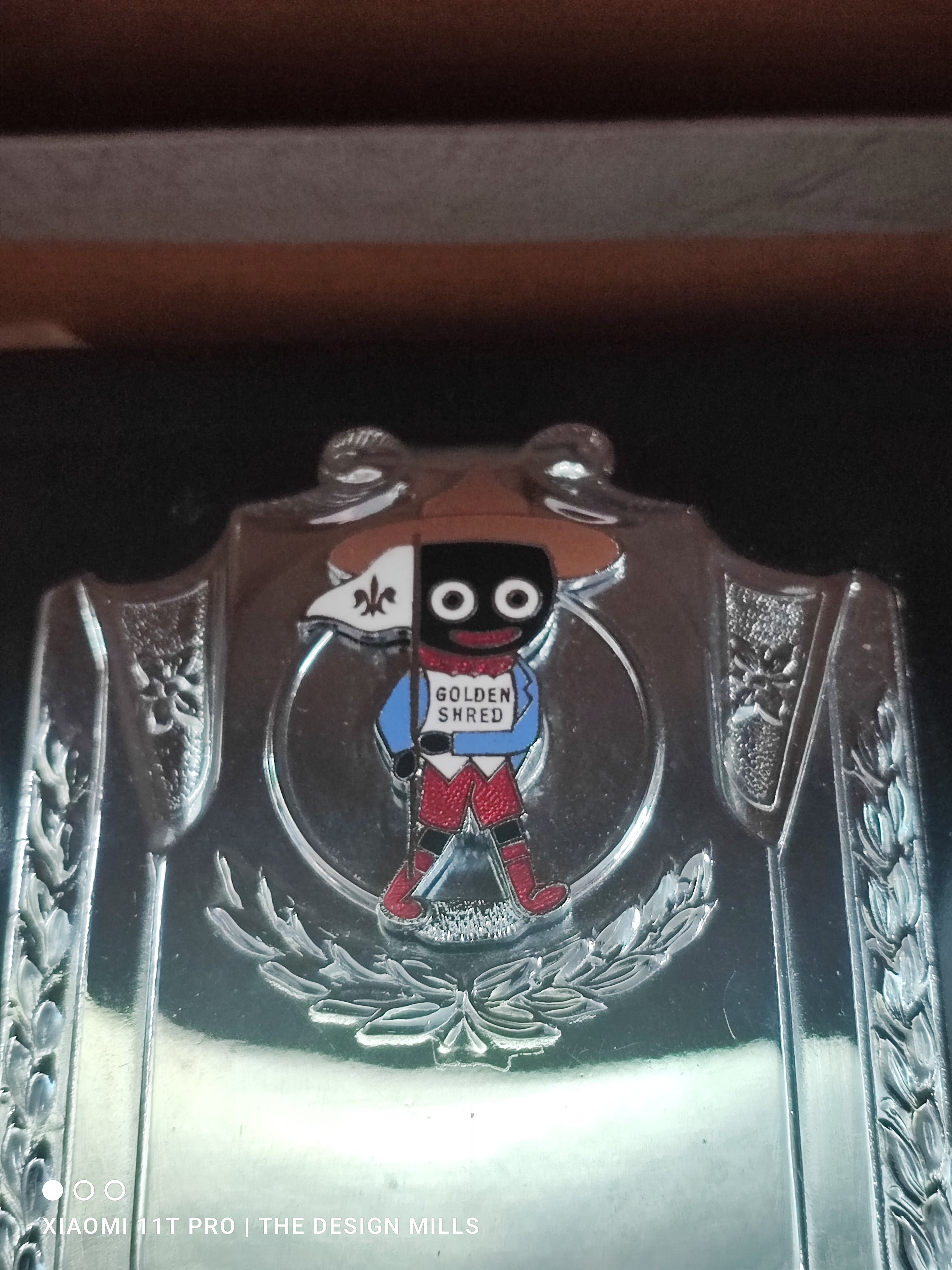 Robertsons Scout Trophy – GollyBadges.com